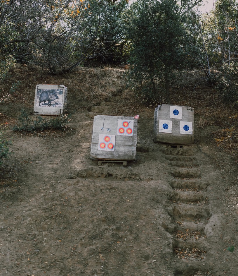 Where to Aim on a Deer: The Perfect Shot Placement