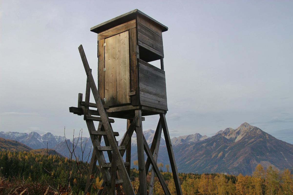 How to Scout for Deer: 10 Proven Ideas and Sound Tactics