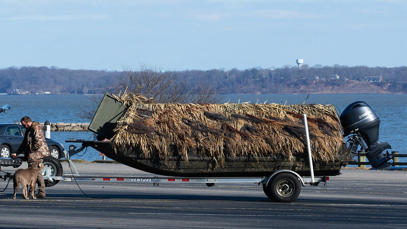 Duck Season in Michigan | Key Dates, Species, Info, and Tips