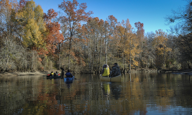 Arkansas Duck Hunting: Traditions, Tips, and Top Spots