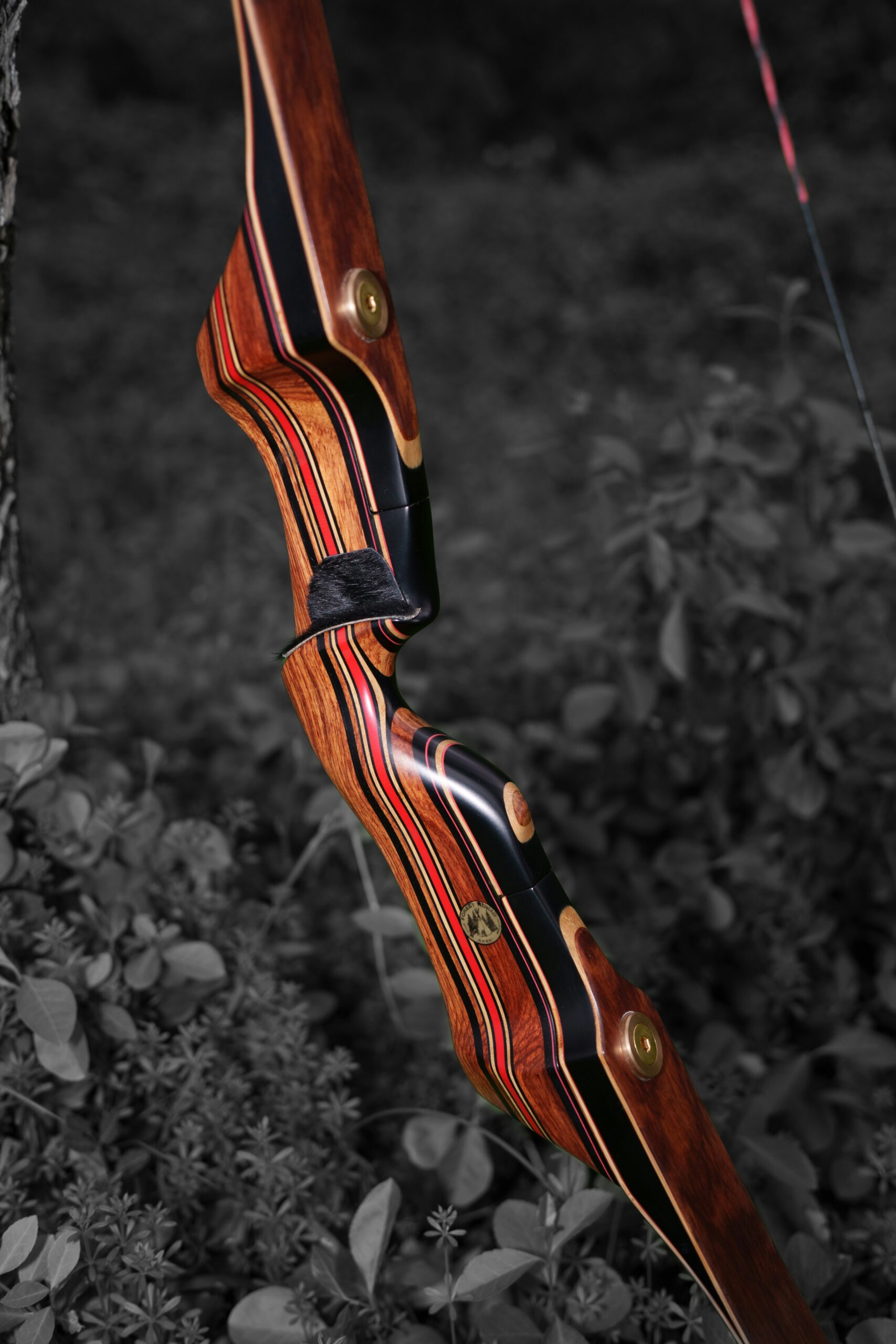 Bow Season 2024: State Season Dates and Regulations - Hunting Locator