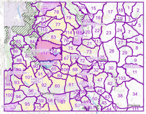 Wyoming Antelope Hunting: 2025 Guide to Pronghorn Hunting