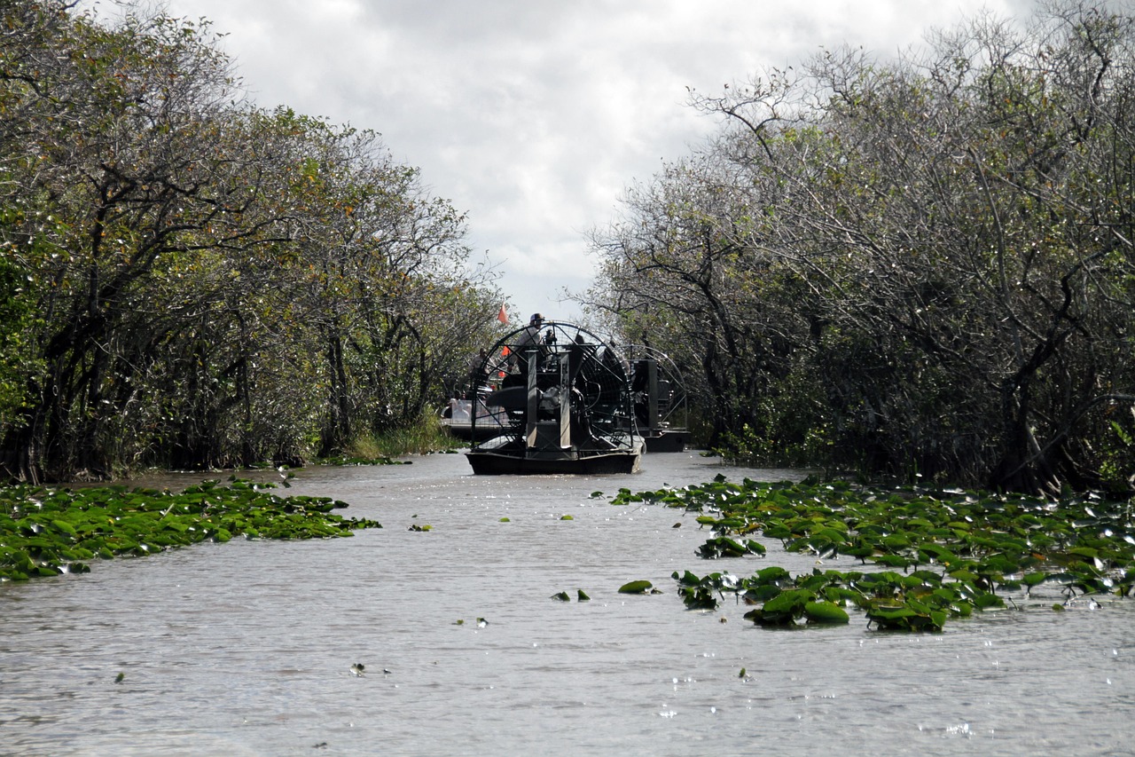 Florida Hunting Season: Dates, Species, Rules, and Tips