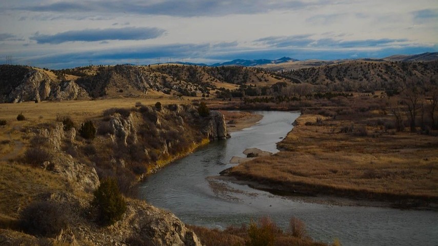 Missouri Hunting Season Guide: 2025 Regs, Licenses & Tips