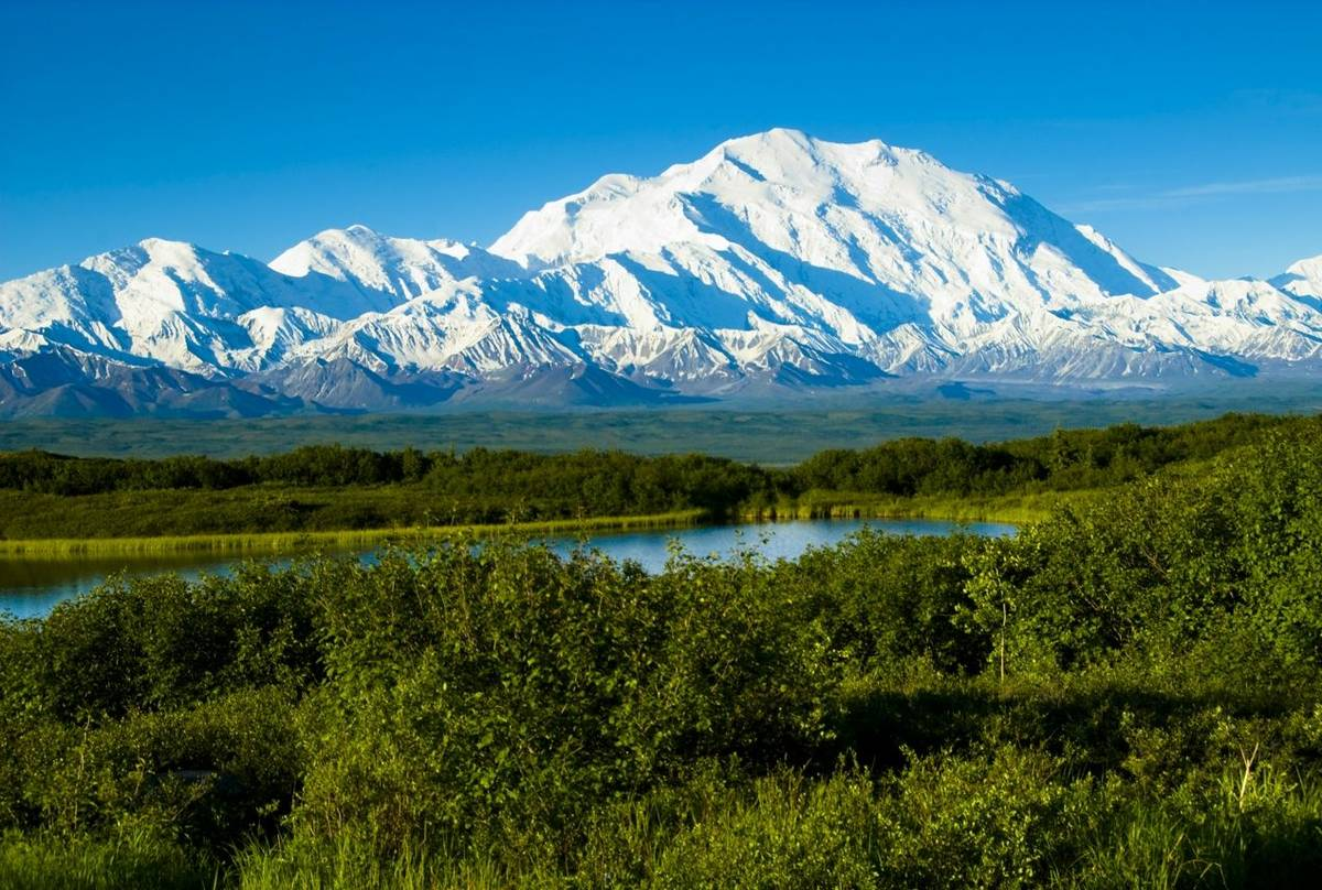 Alaska Hunting Season Guide: Regulations and Season Dates
